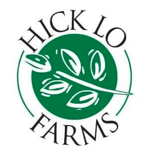 TYBA Ball – Tennessee Youth Baseball