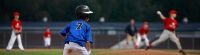TYBA Ball – Tennessee Youth Baseball